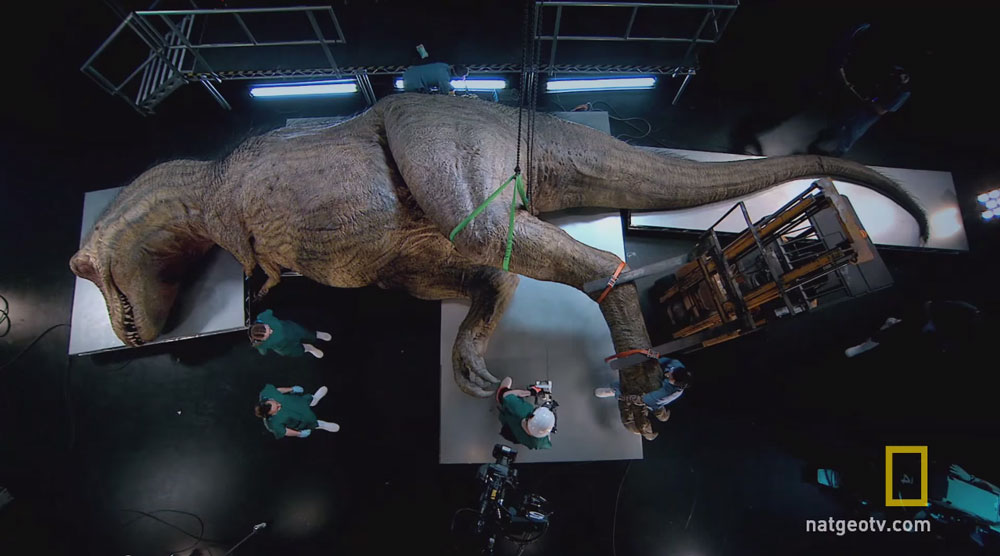 Autopsie d'un T-Rex : le documentaire impressionnant qui vous plonge ...