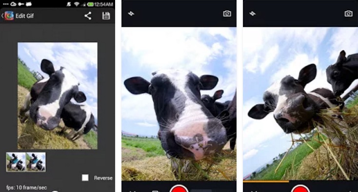 Comment créer un GIF animé simplement et le partager sur les réseaux