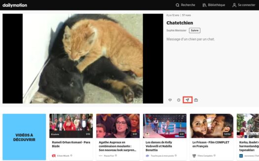 Comment télécharger une vidéo Dailymotion Comment télécharger une vidéo Dailymotion